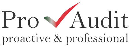 Pro Audit – Proactive & Professional